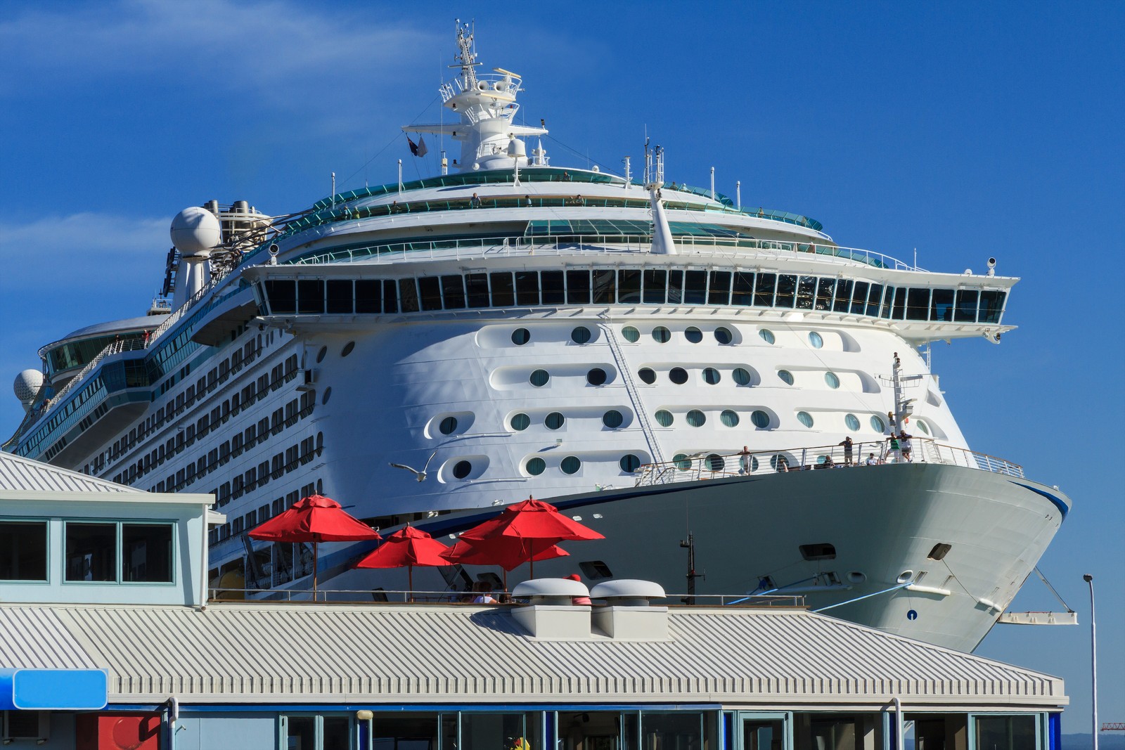 Swiss Alpine Center - Hotel, Culinary & Tourism Management Education ...